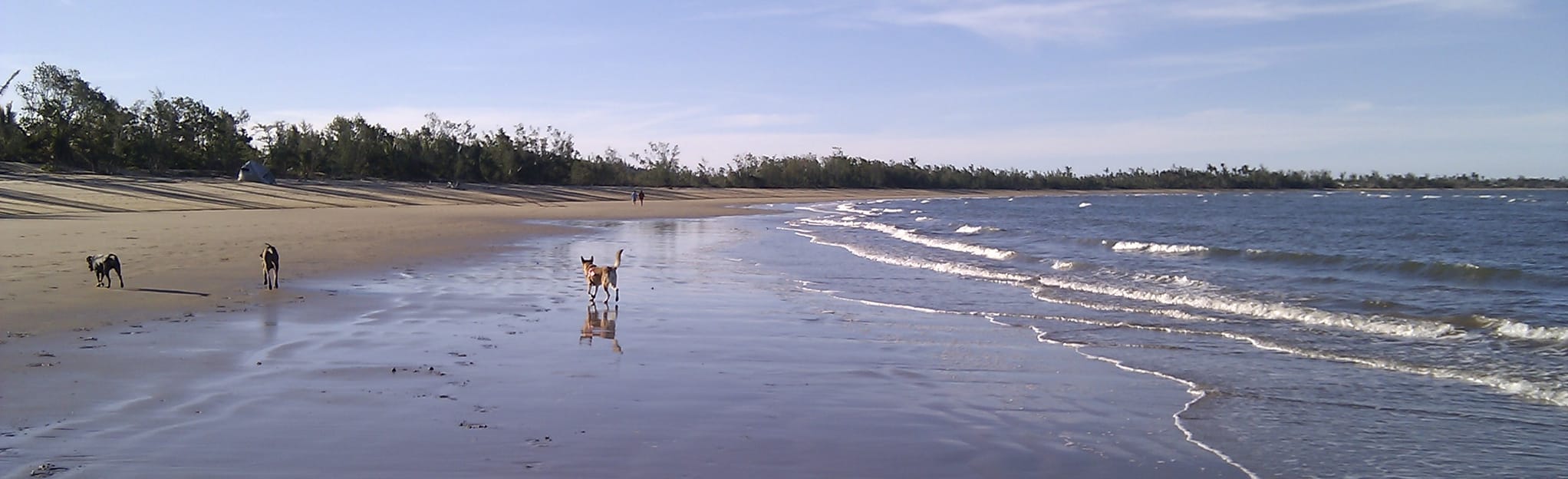 Kurrimine Beach Walk, Queensland, Australia - 4 Reviews, Map | AllTrails