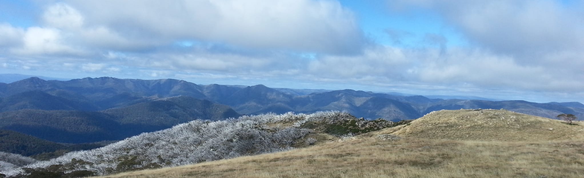 Stonefly Loop and Mount Stirling Summit - Victoria, Australia | AllTrails