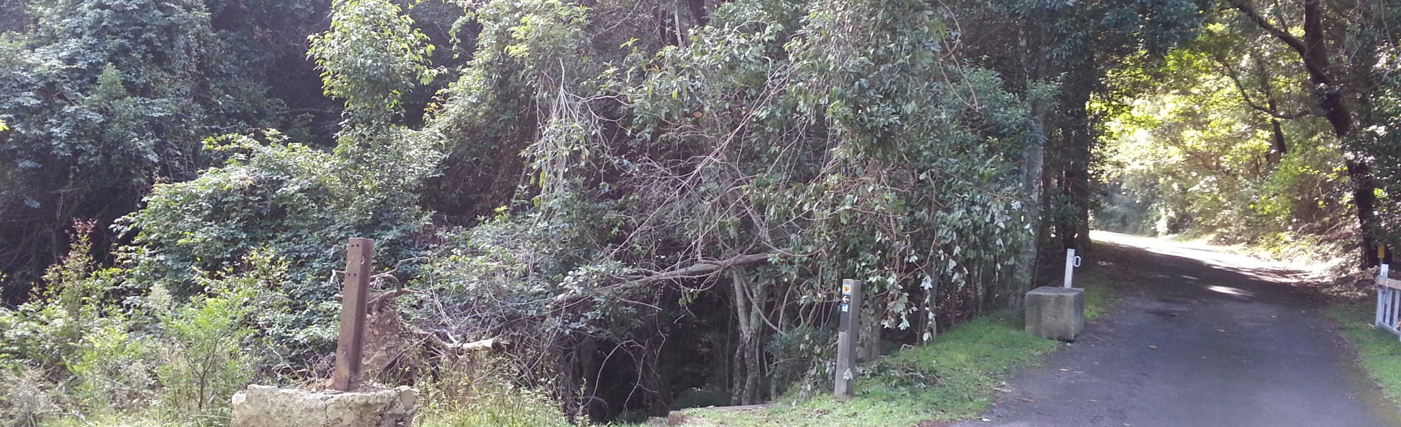 Mount Keira Ring Track, New South Wales, Australia - 75 Reviews, Map ...