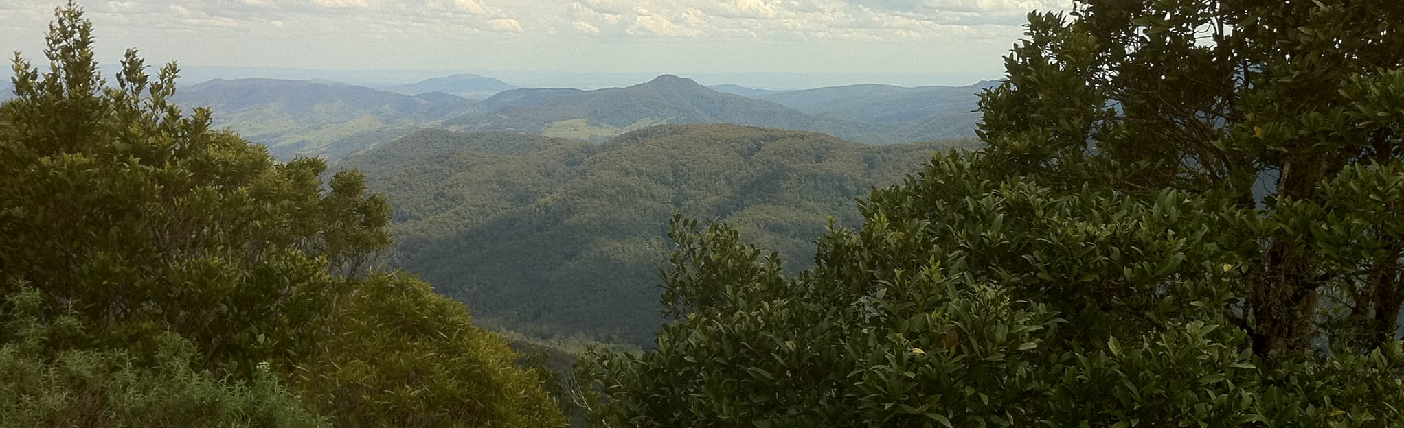 Mount Allyn Lookout via Forest Road: 0 Reviews, Map - New South Wales ...