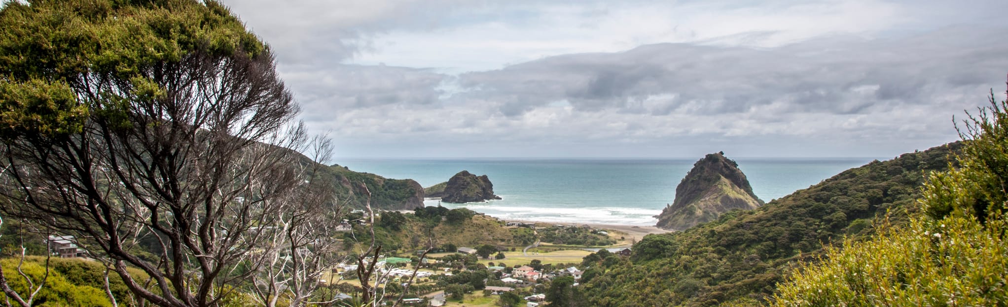 Maungaroa Lookout Loop Track [CLOSED], Auckland, New Zealand - 9 ...