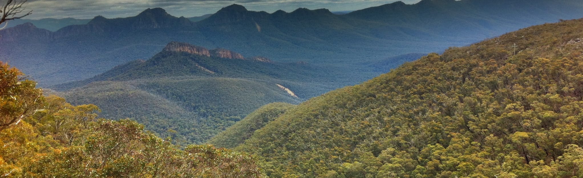 Mount William: 124 Reviews, Map - Victoria, Australia | AllTrails