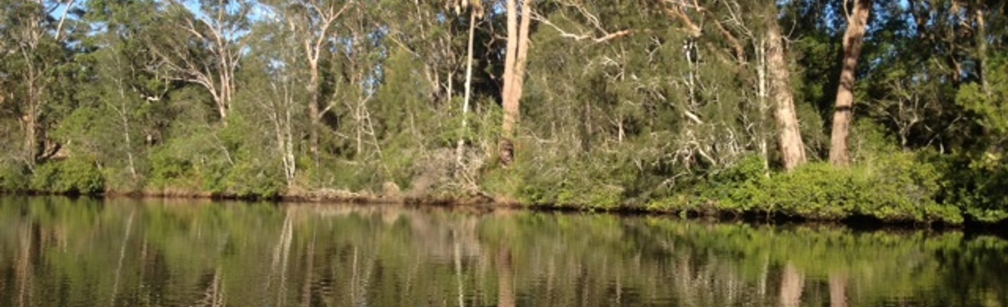 Wallamba River Paddle, New South Wales, Australia - Map, Guide | AllTrails