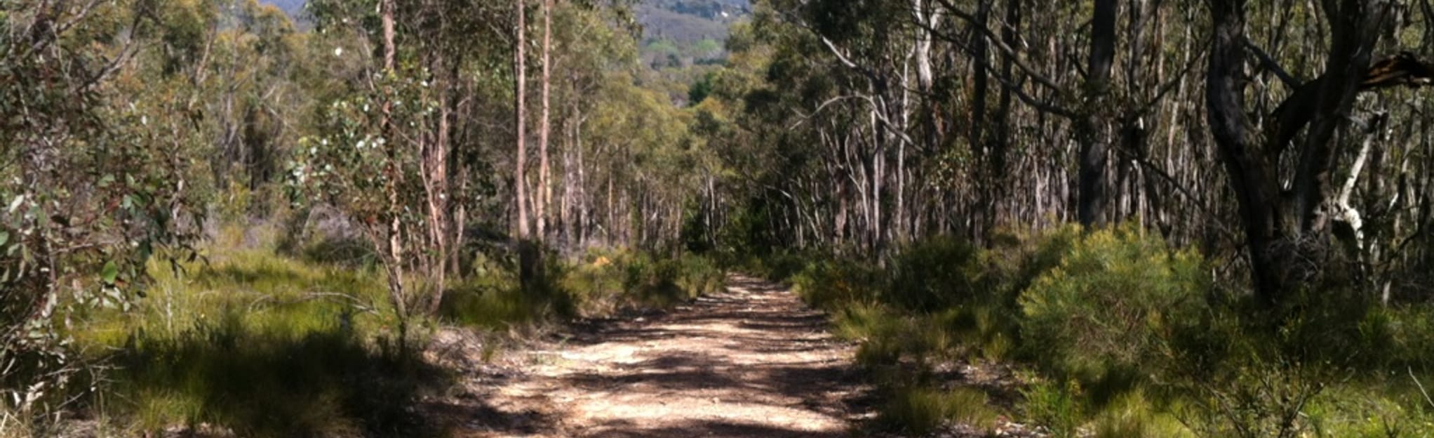 Mylor Conservation Park Loop | Map, Guide - South Australia, Australia ...