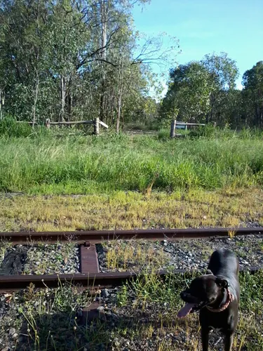 Best Hikes and Trails in Bilwon State Forest | AllTrails