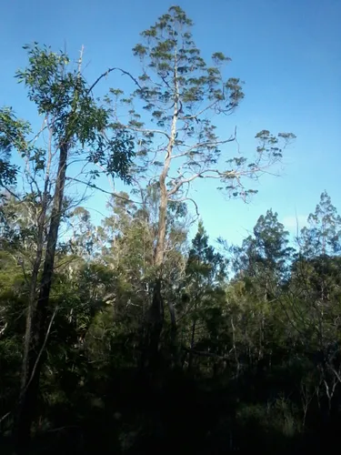 Best Hikes and Trails in Bilwon State Forest | AllTrails