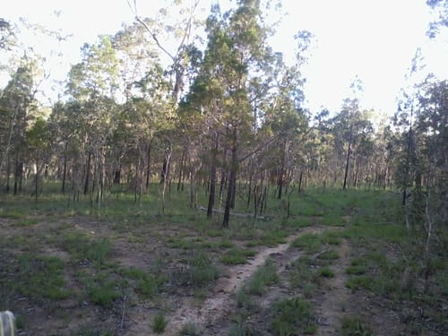 Best Hikes and Trails in Bilwon State Forest | AllTrails