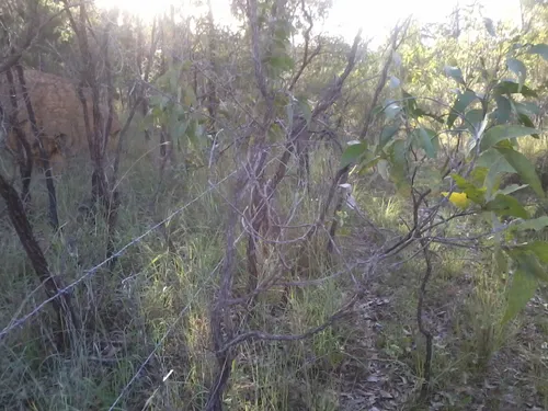 Best Hikes and Trails in Bilwon State Forest | AllTrails