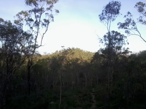 Best Hikes and Trails in Bilwon State Forest | AllTrails