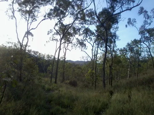 Best Hikes and Trails in Bilwon State Forest | AllTrails