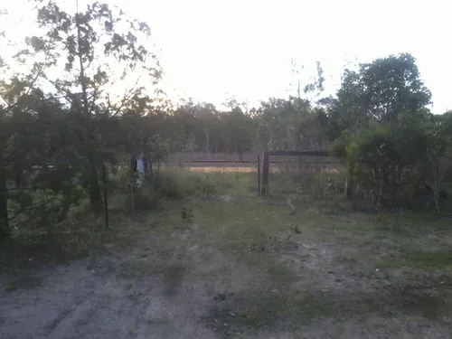 Best Hikes and Trails in Bilwon State Forest | AllTrails