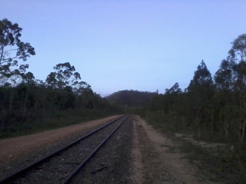 Best Hikes and Trails in Bilwon State Forest | AllTrails