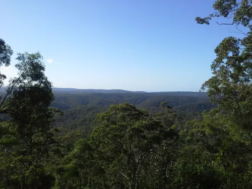 Best Hikes and Trails in Watagan State Forest | AllTrails