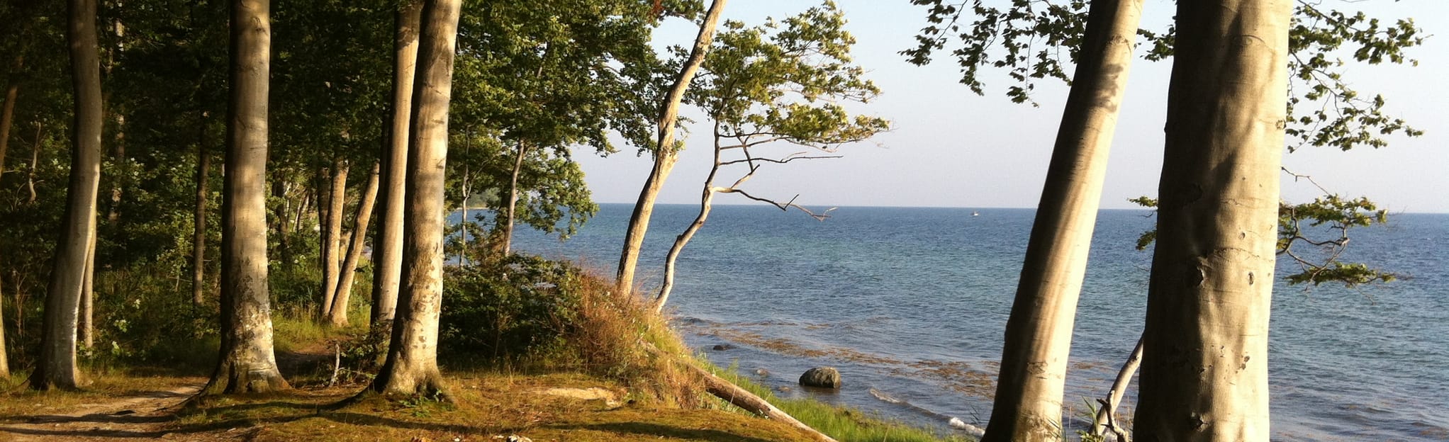 Fynshav - Nørreskoven Als: 32 Reviews, Map - Region of Southern Denmark ...