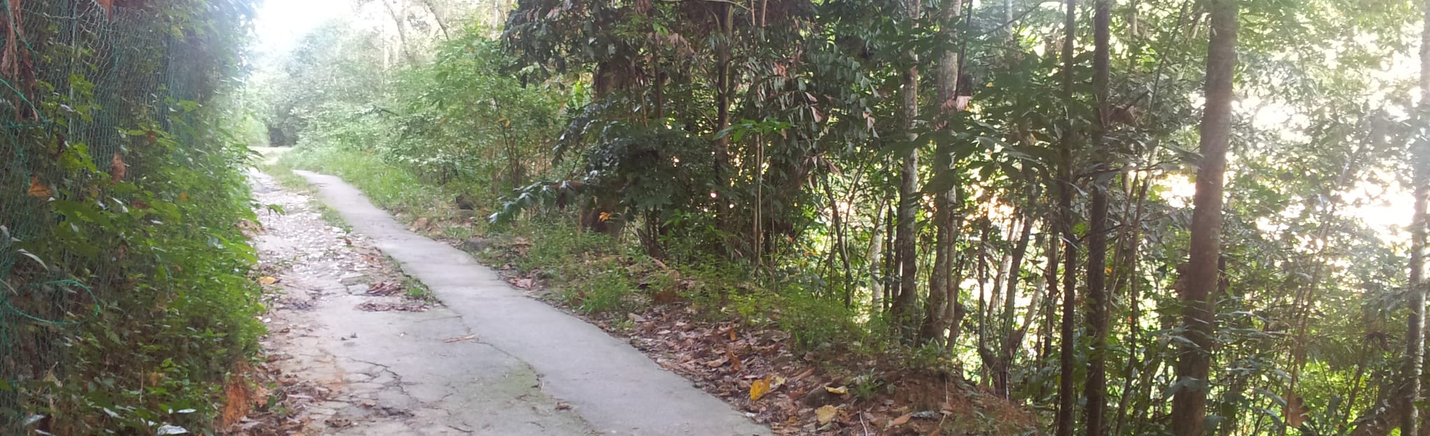 Sungai Ara, Fig Tree Hill, and Xuan Wu Temple Loop, Penang, Malaysia - 9 Reviews, Map | AllTrails