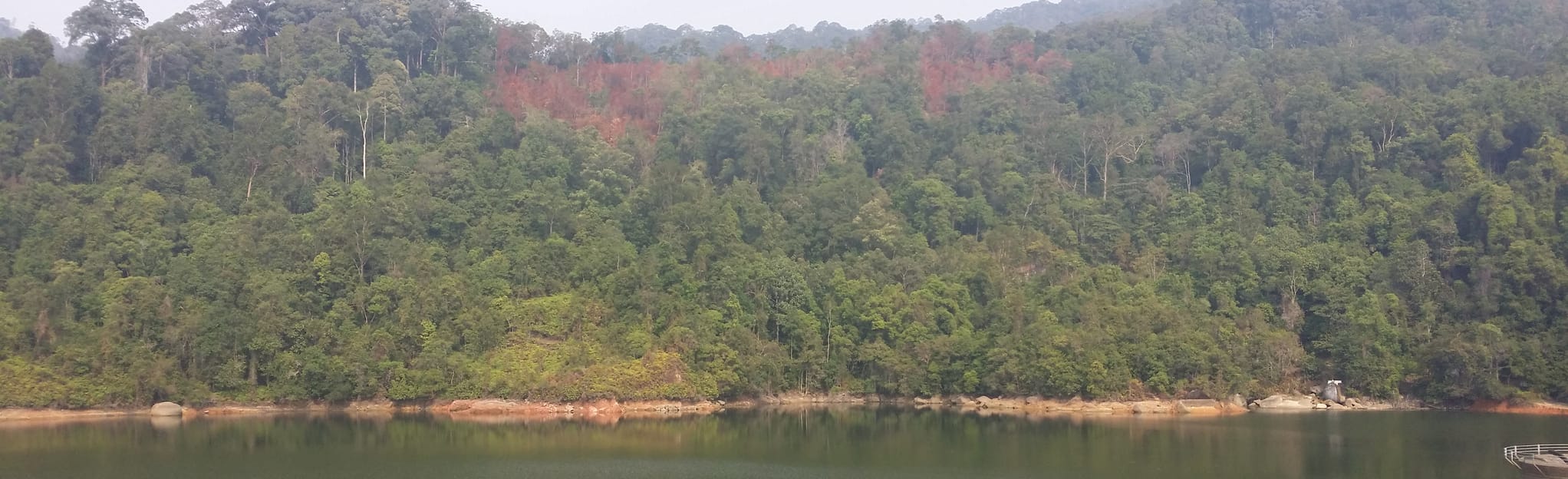 Air Itam Dam - Kek Lok Si - 1200 Steps: 242 foto's - Penang, Maleisië ...