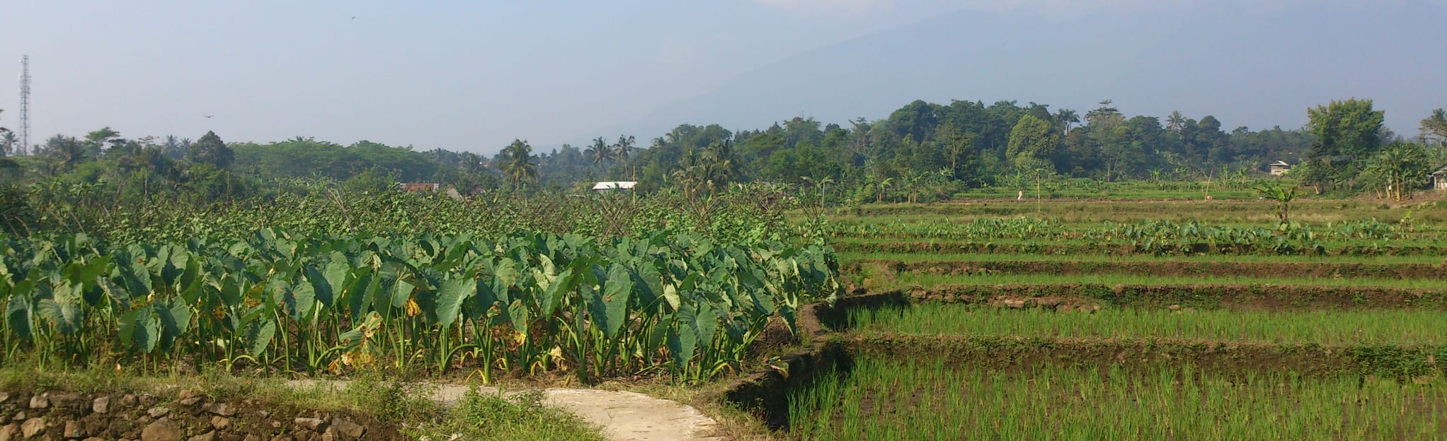 Sindang Barang Cultural Village | Map, Guide - West Java, Indonesia | AllTrails