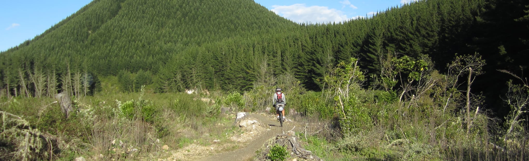 Waikato River Trail, Waikato, New Zealand - 12 Reviews, Map | AllTrails