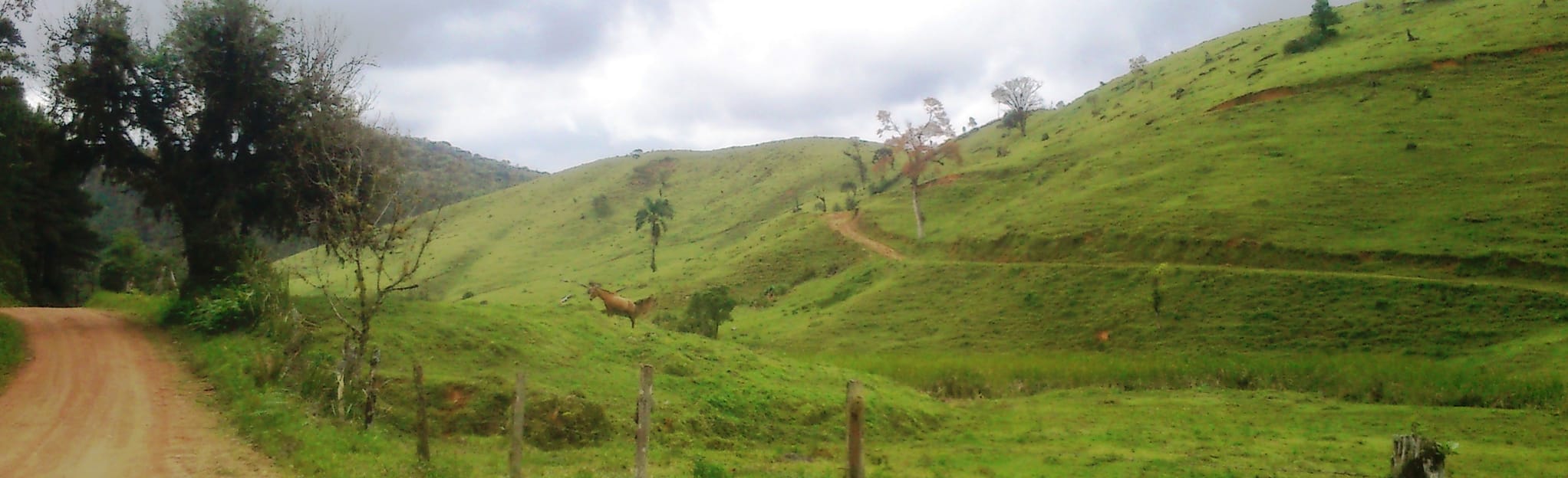 Pomerode - Represa Alto Palmeiras, Santa Catarina, Brazil - Map, Guide ...