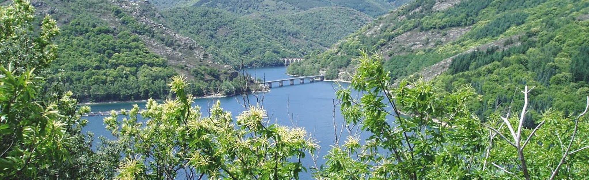 Tour du Lac de Villefort : 127 photos - Lozère, France | AllTrails