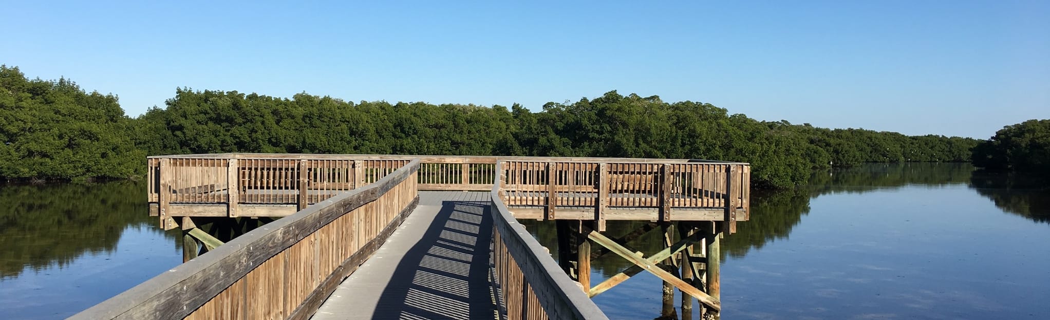 Weedon Island Preserve Trail, Florida - 811 Reviews, Map | AllTrails