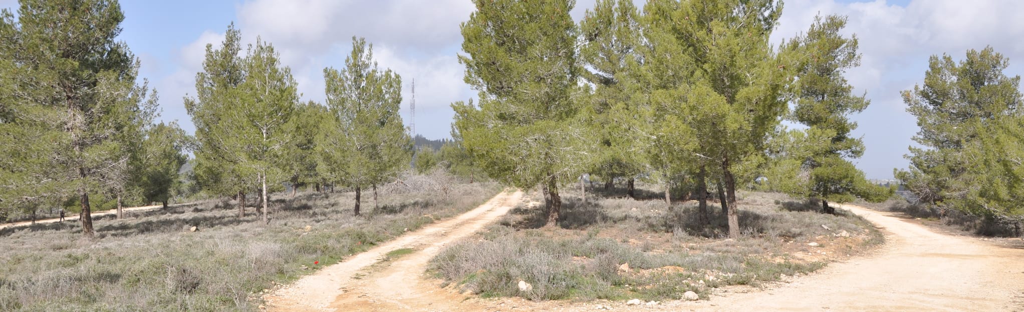 Tzova to Har Eitan via Belmont Castle, Jerusalem, Israel - 10 Reviews ...