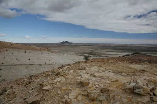 Best Hikes and Trails in Jaramillo Petrified Forests National Park ...