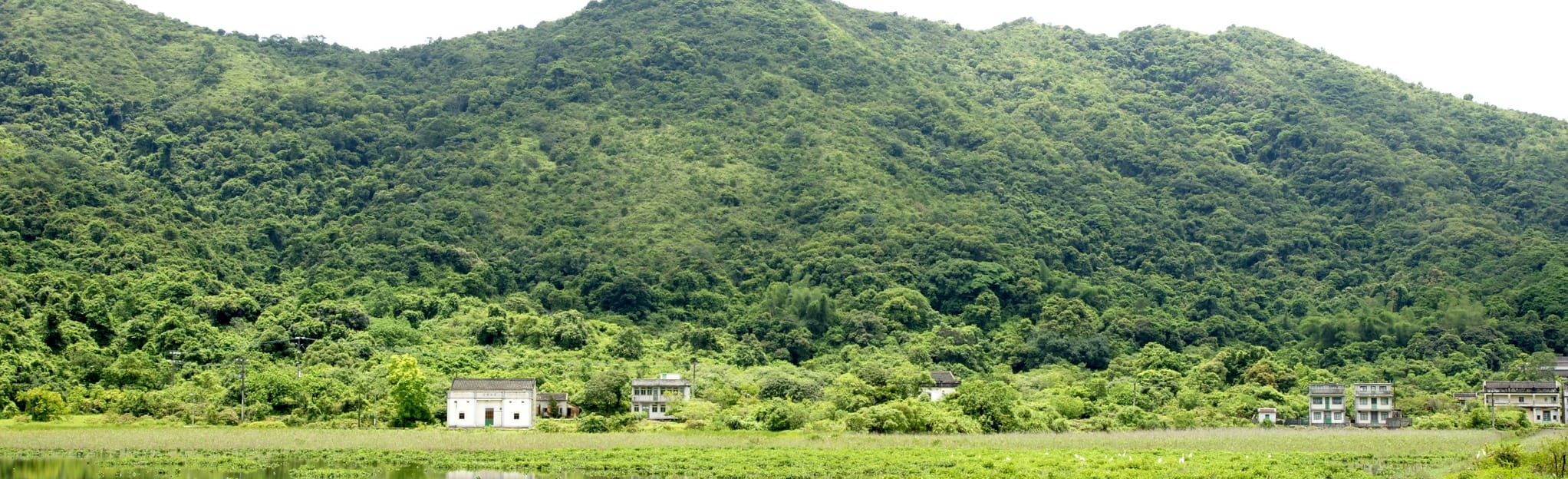 Au Pui Leng via Bride's Pool Road: 27 Reviews, Map - Tai Po, Hong Kong ...
