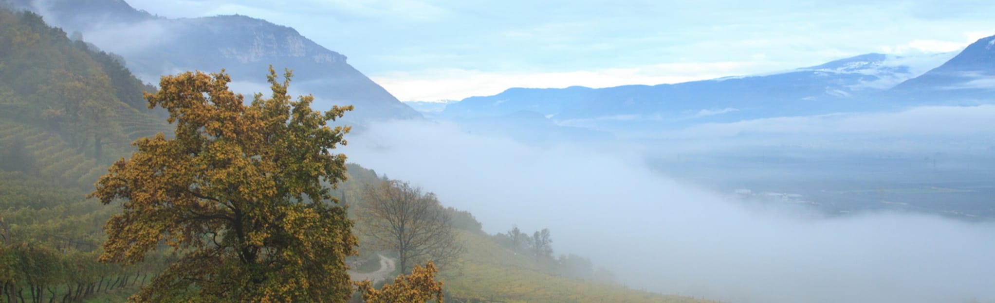 Magrè - Lago di Favogna via Vecchio Sentiero di Favogna, South Tyrol ...