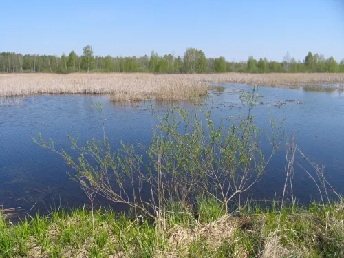 Best Hikes and Trails in Polesian National Park | AllTrails