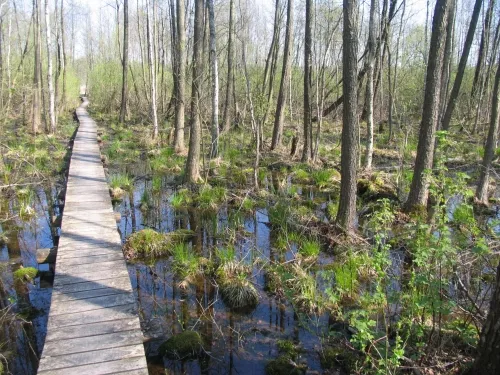 Best Hikes and Trails in Poleski Park Krajobrazowy | AllTrails