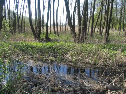 Best Hikes and Trails in Poleski Park Krajobrazowy | AllTrails