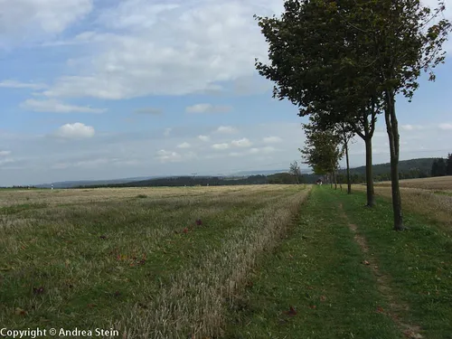 2023 Best 10 Trails and Hikes in Rosenthal am Rennsteig | AllTrails