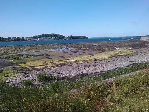 10 Best Forest Trails in Strangford and Lecale National Landscape (AONB ...