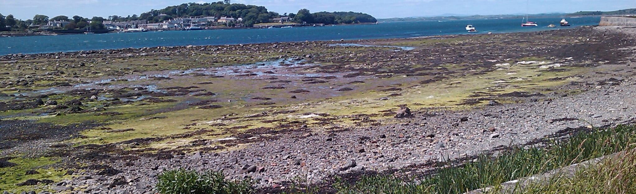 Portaferry Circular: 5 Reviews, Map - Ards and North Down, Northern ...