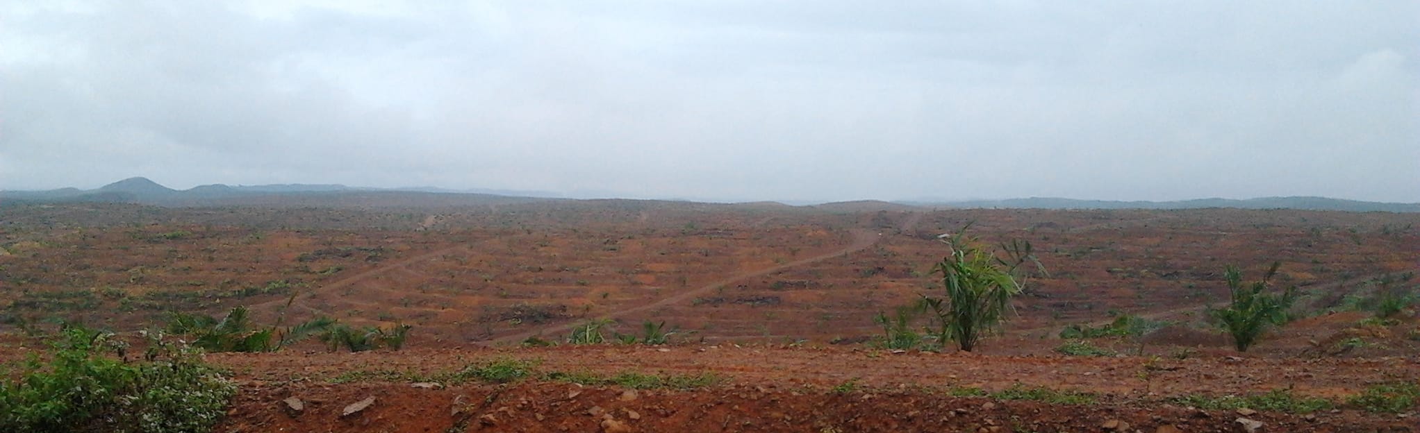Sempadan Bukit Jalor, 1 Fotos - Negeri Sembilan, Malaysia | AllTrails