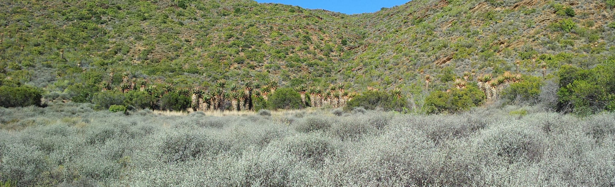 Grootkloof Hiking Trail - Gamkaskloof (Die Hel): 2 Reviews, Map ...