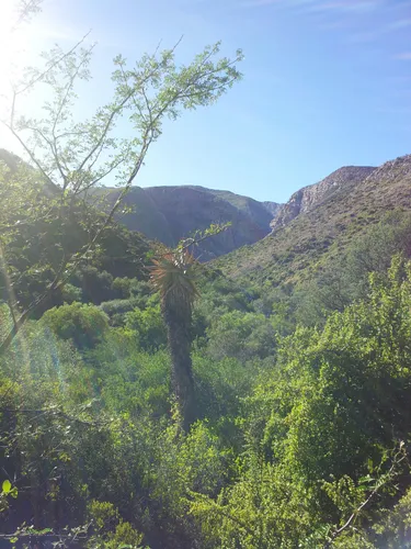 Best Views Trails in Calitzdorp | AllTrails