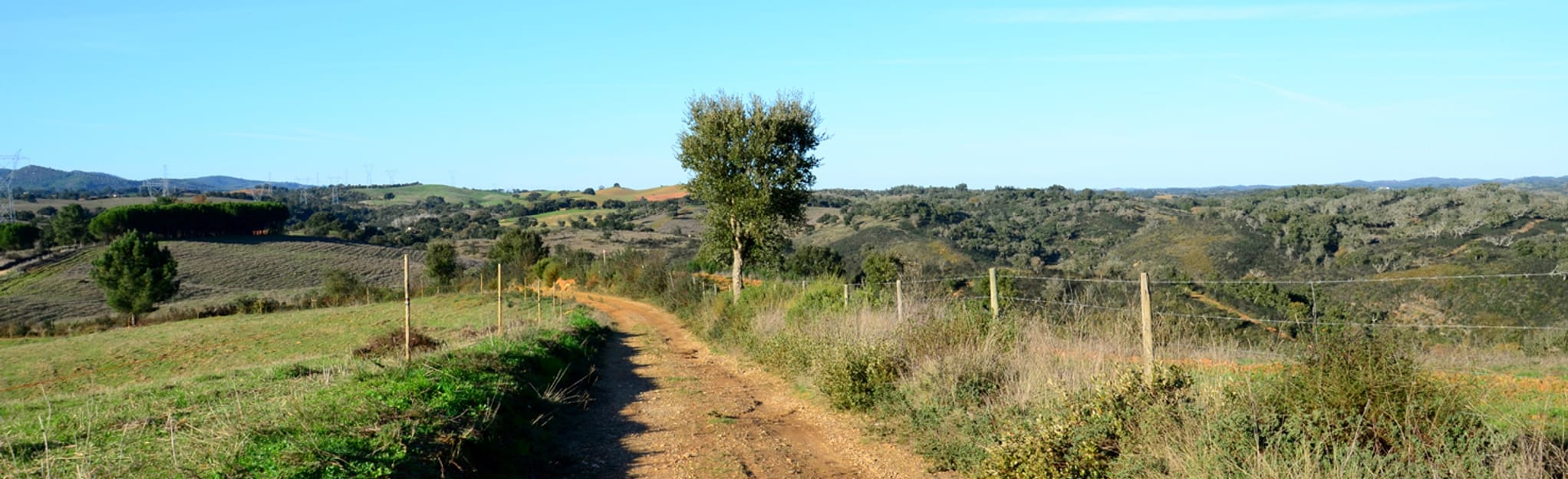 Rota Vicentina: Sao Luis - Odemira via the Historic Path, Beja ...