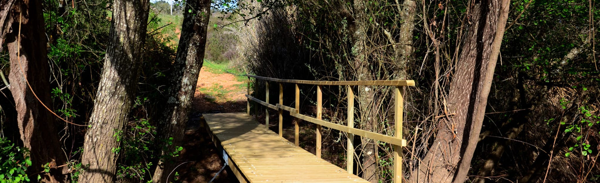 Rota Vicentina: Sao Teotónio - Odeceixe via the Historic Path, Beja ...