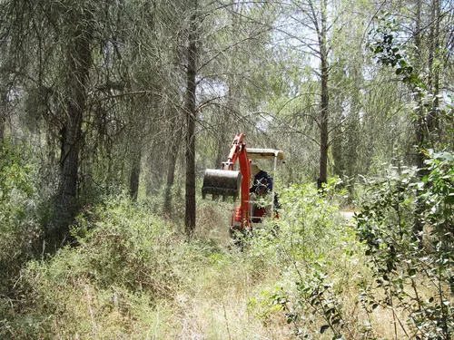 Best Hikes and Trails in Yishai Forest | AllTrails