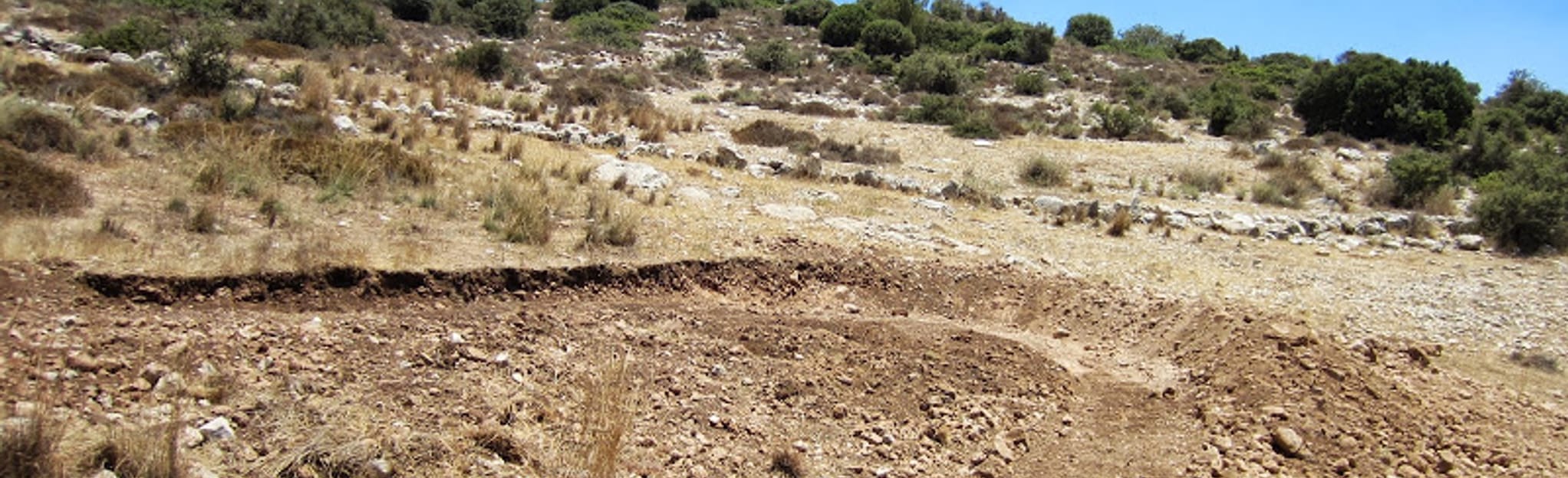 Yishi Forest and Zeharya Circuit: 1 Reviews, 50 Photos, Map - Jerusalem ...