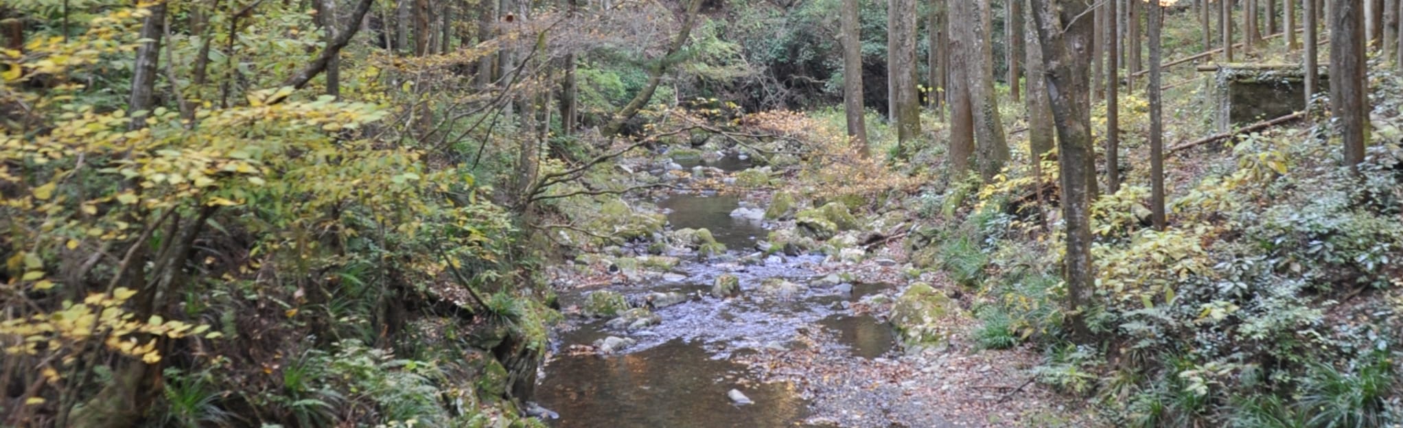 AllTrails | Hatonosu Station - Hatonosu Gorge - Kori Station: 4 Reviews ...