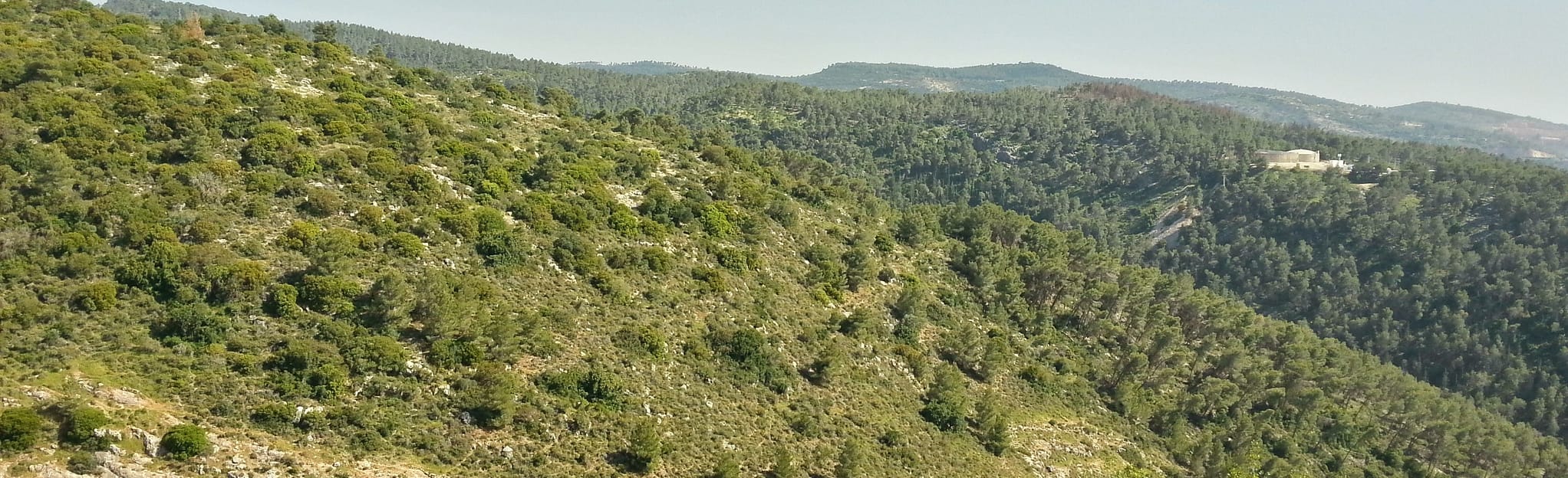 Kdoshim Forest, Bnei Brit Cave and Beit Meir, 163 Photos - Jerusalem ...