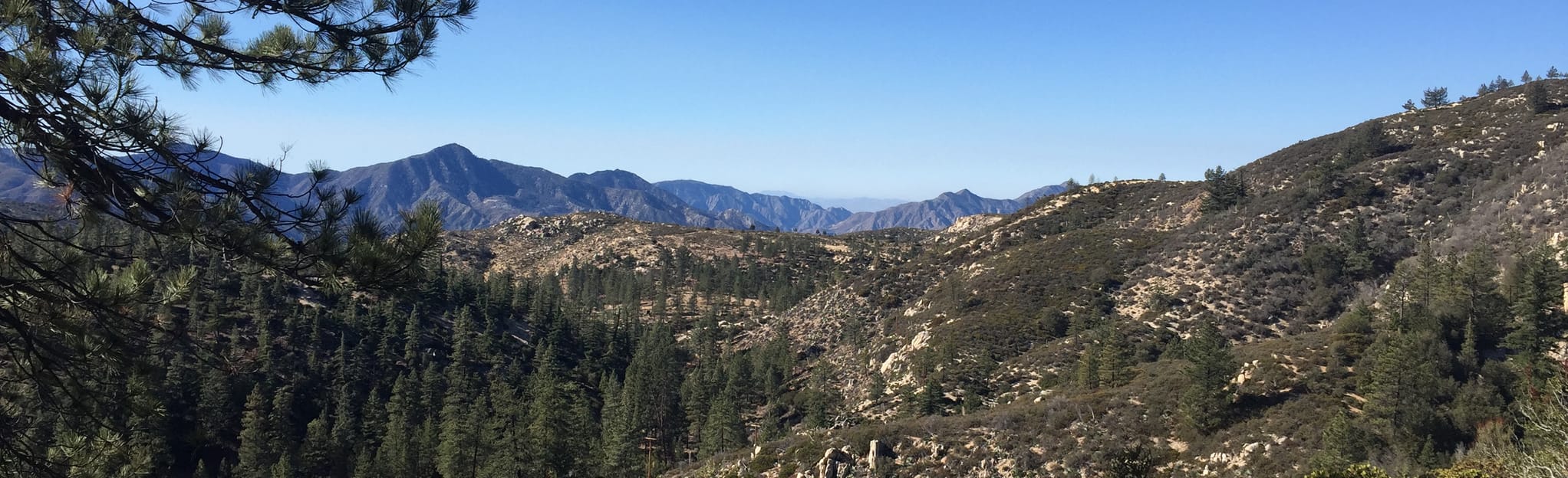 Mount Hillyer via Silver Moccasin Trail, 946 Fotos - California | AllTrails