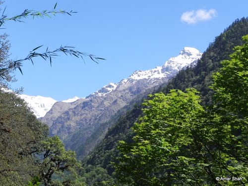 2023 Best 10 Bird Watching Trails in Kapkot | AllTrails