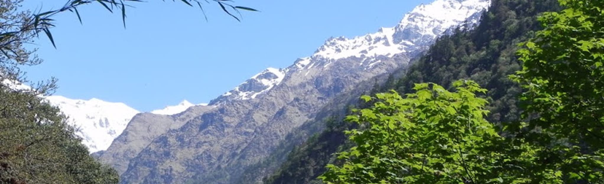 Kanakata Pass Trek, Uttarakhand, India - Map, Guide | AllTrails