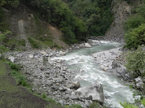 2023 Best 10 Bird Watching Trails in Kapkot | AllTrails