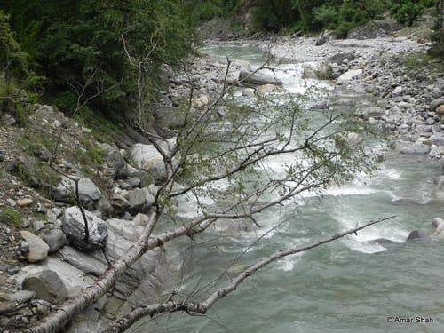 2023 Best 10 Views Trails in Kapkot | AllTrails