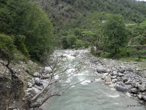 2023 Best 10 Bird Watching Trails in Kapkot | AllTrails